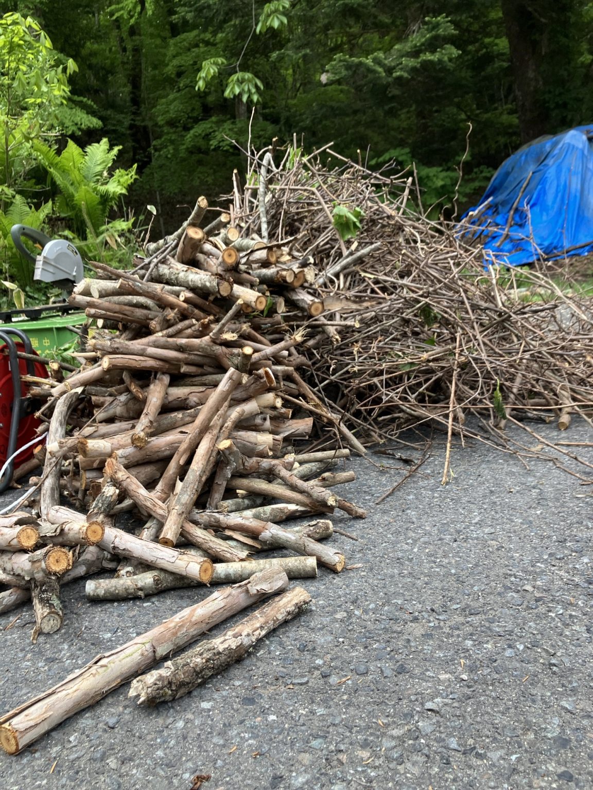 まるで台風の後！